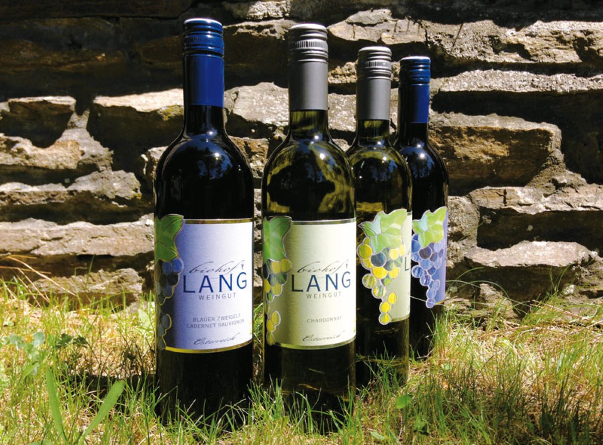 Weingut Biohof Lang – Bio Weine aus Österreich – Weinonaut.de